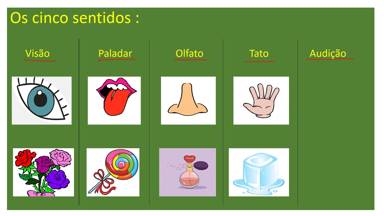 AULA DE CIÊNCIAS - OS CINCO SENTIDOS - YouTube
