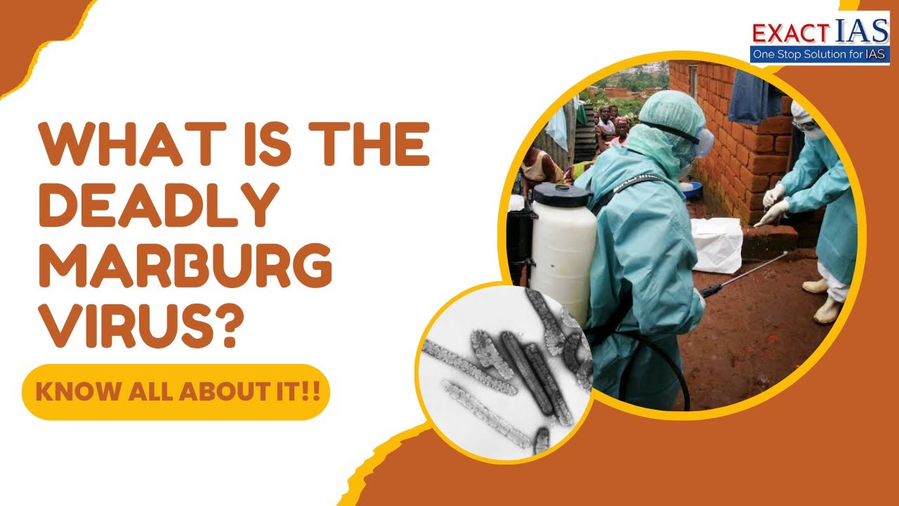 What is the deadly Marburg virus? - YouTube