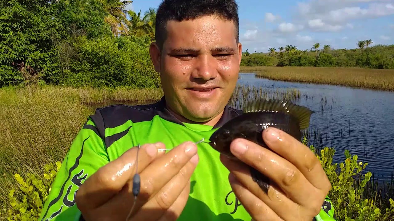 Pesca de cara preto. - YouTube