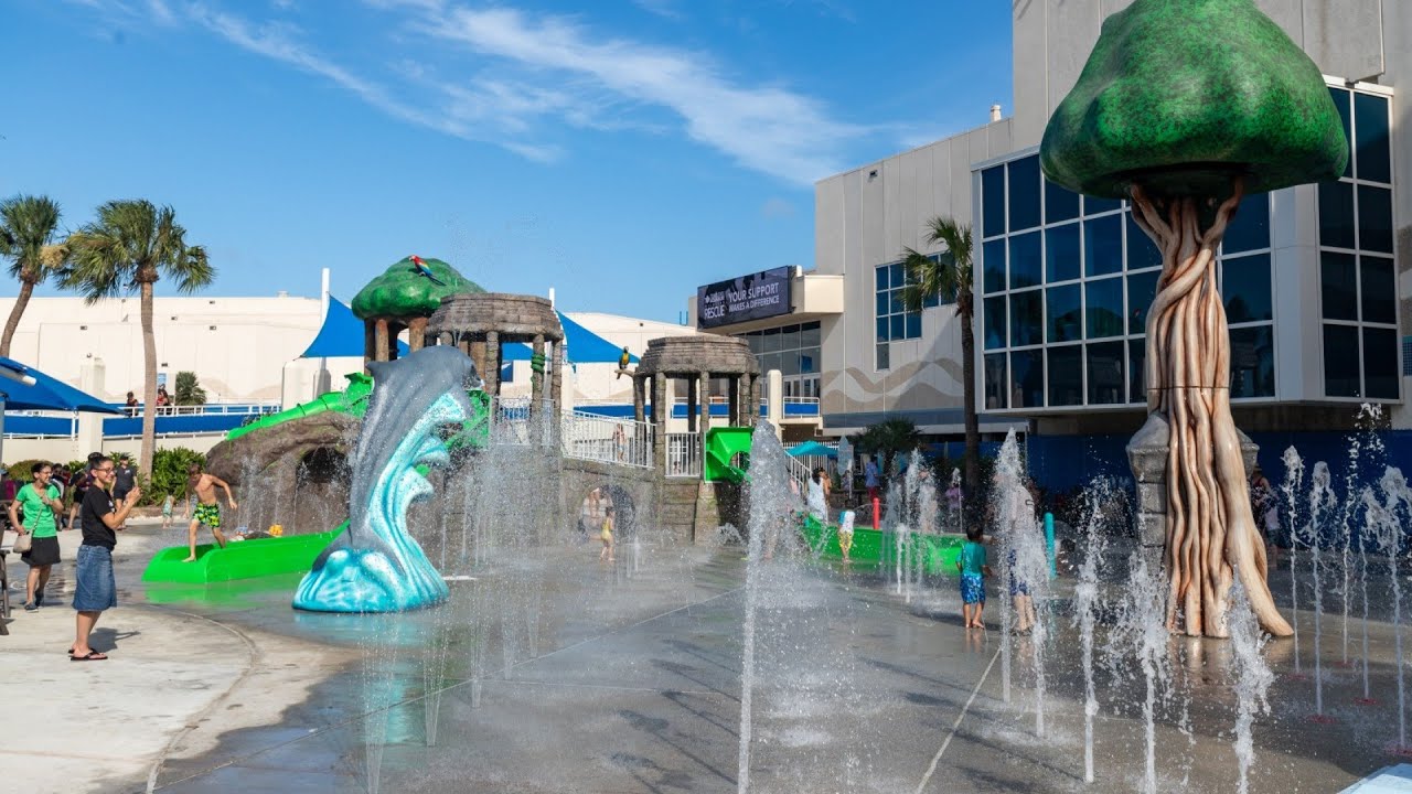 New H-E-B splash park opens at Texas State Aquarium in Corpus Christi ...