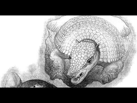 Cenozoic profile macroeuphractus - YouTube