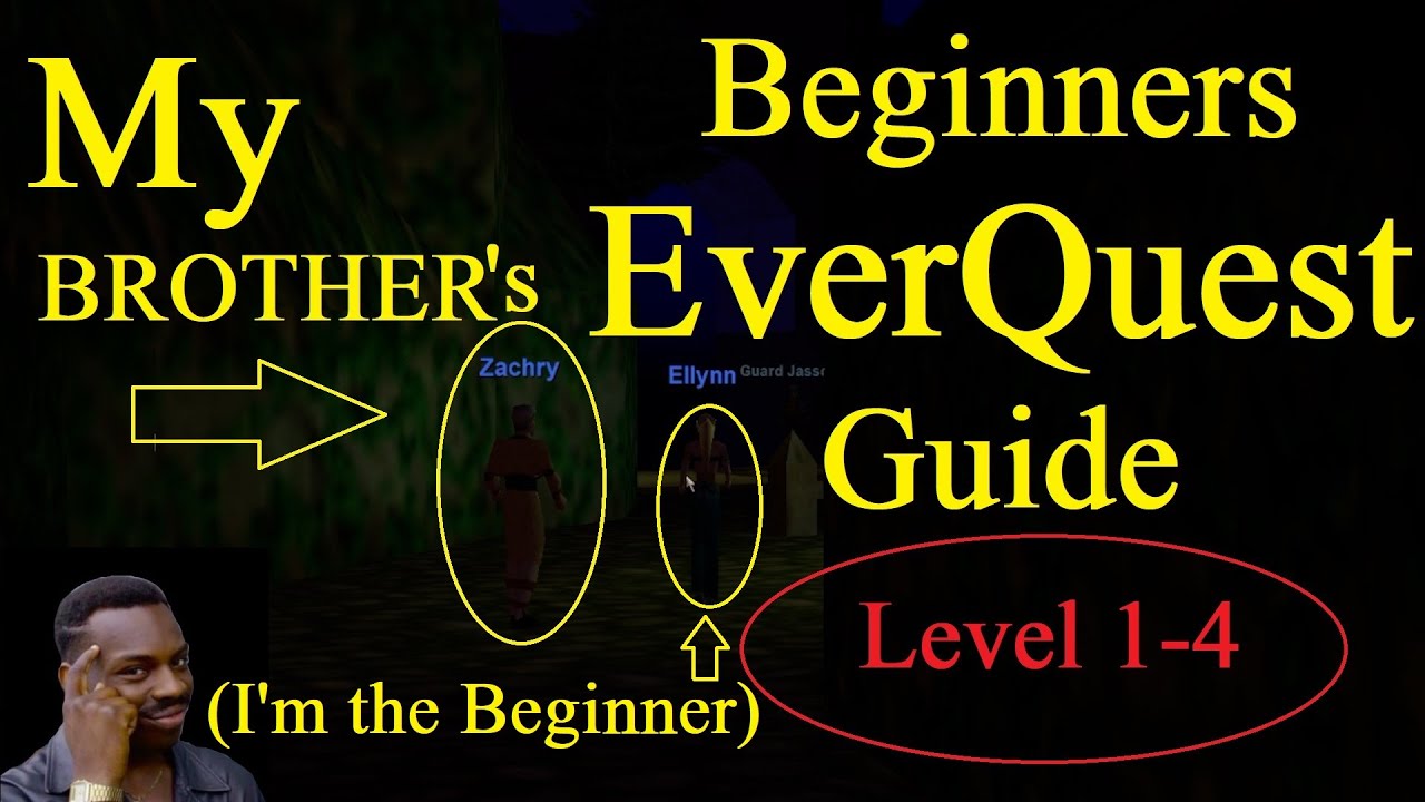 EVERQUEST MEMES (A COMPREHENSIVE LEVEL 1-4 BEGINNERS GUIDE) - YouTube