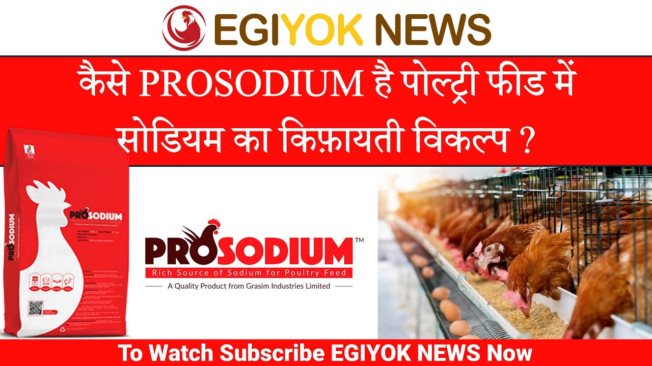 पोल्ट्री फीड में PROSODIUM का महत्व ? | Importance of PR0SODIUM in ...