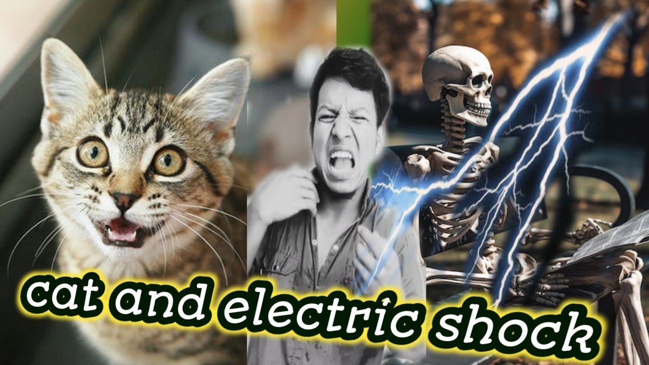 बिरालाे (cat and electric shock comedy 😀📯#yatrumohan #funny #minivlog # ...