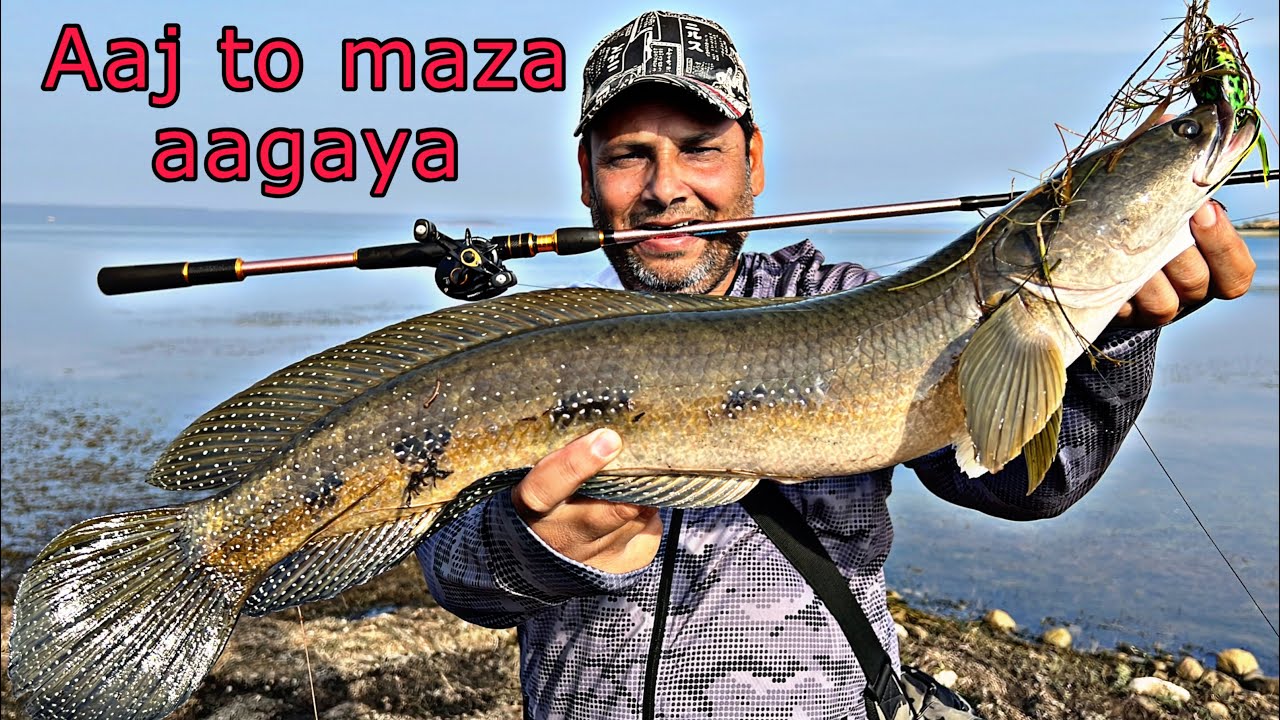Har Pal Maza Fishing Ka/Maral Fishing Part 1 Snakehead catching Back To ...
