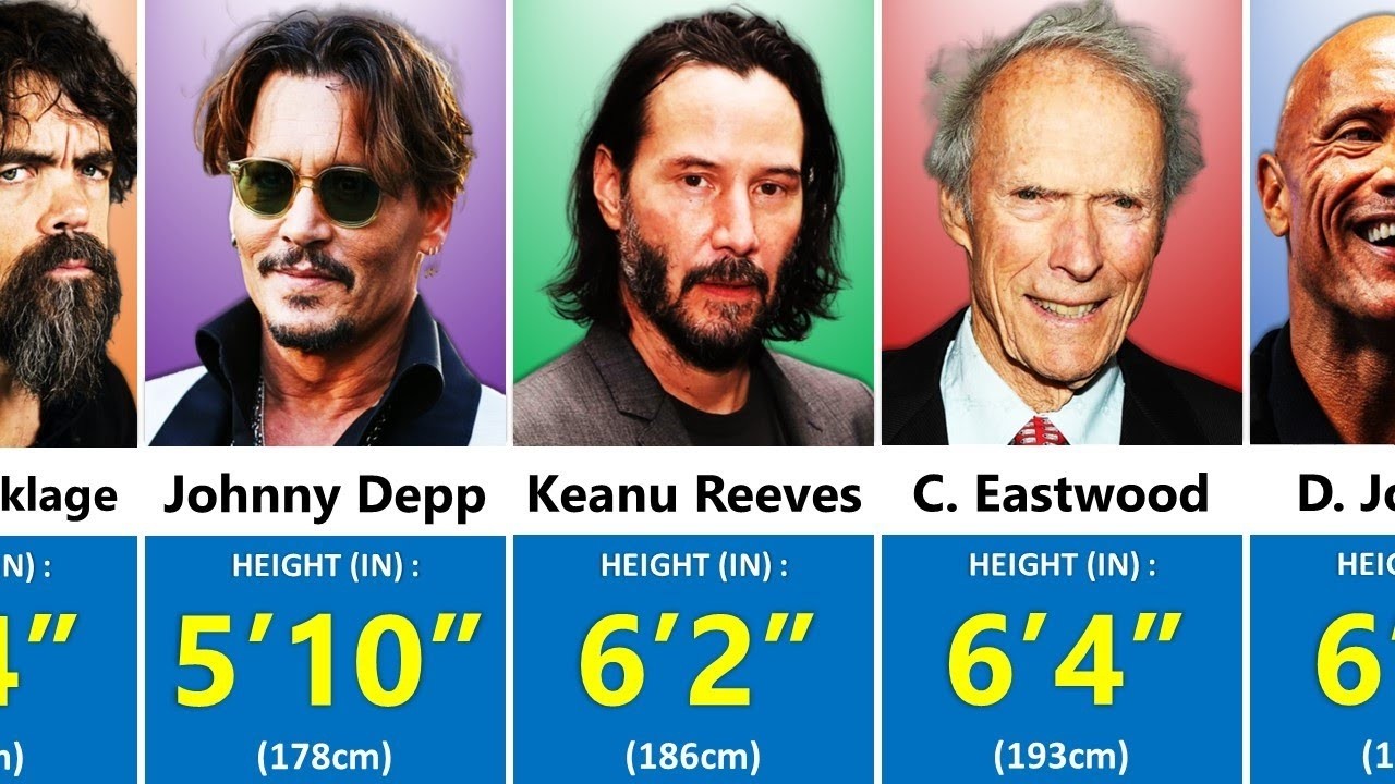 REAL Heights Of Hollywood Actors | REAL Heights of Actor | REAL Heights ...