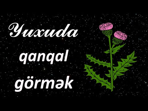 Yuxuda qanqal görmək ☾✵ Qısa #yuxuyozma - SƏSLİ YUXU YOZMALARI