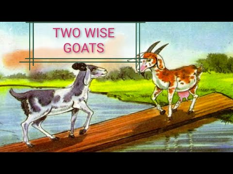Two wise goats story - YouTube