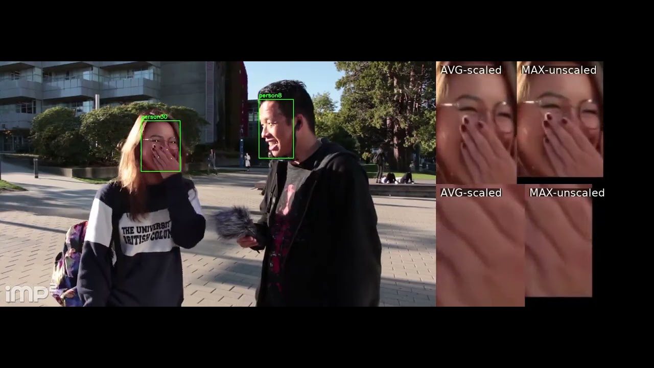 VideoFace2.0 - Face re-identification, landmark points and mouth region ...
