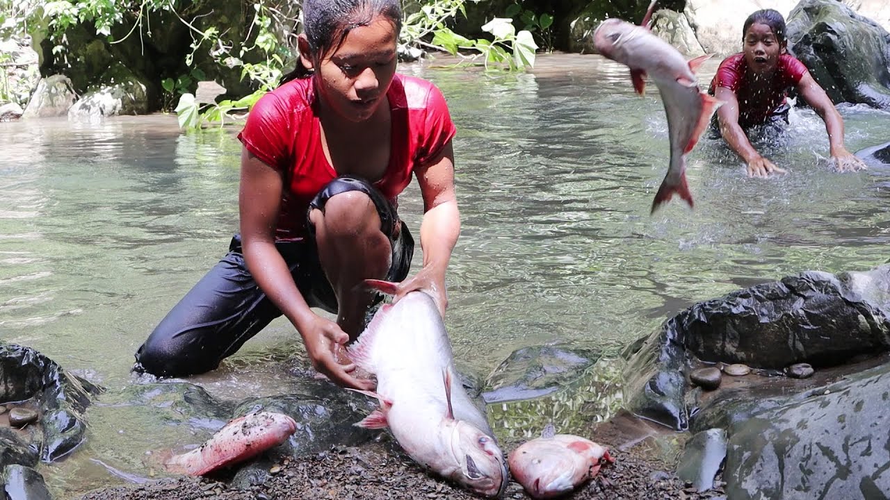 Survival in forest: Found & Catch fish in Waterfall - Cooking Big fish ...
