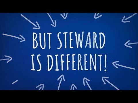 The Steward School (Top Ranked Private School for 2024) - Henrico, VA