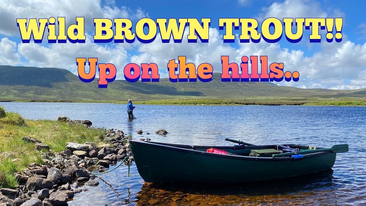 Fly fishing for Wild BROWN TROUT!! 27th May - YouTube
