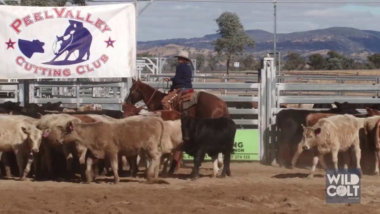 EBS Mitown - Julie Sheedy Novice Non Pro Barraba 2013 - YouTube