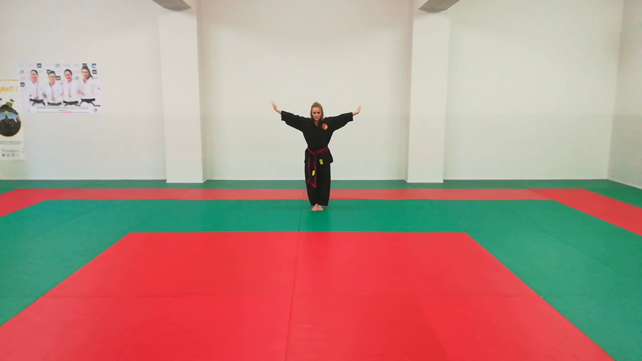 Vidéo 7, Nghu long quyen - YouTube