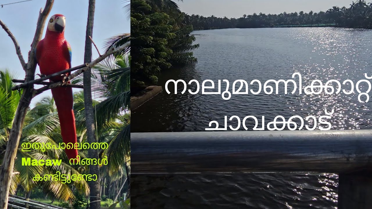 Nalumanikattu | Kayaking Watersports Club | Thrissur | Travel Vlog ...