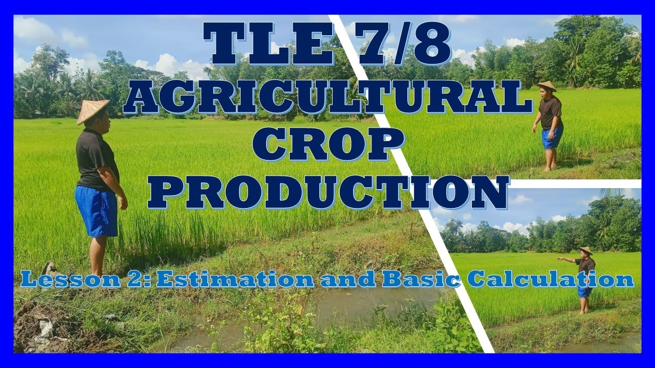 TLE 7 OR 8 AGRICROP PRODUCTION MODULE 2 - YouTube