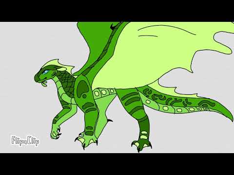 Queen Coral and Orca seawings WOF - YouTube