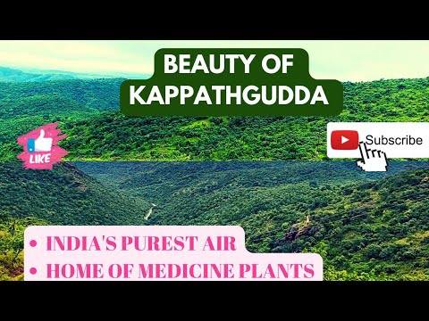 ಕಪ್ಪತಗುಡ್ಡ ಗದಗ kappatagudda Gadag | hillstation | india's purest air ...