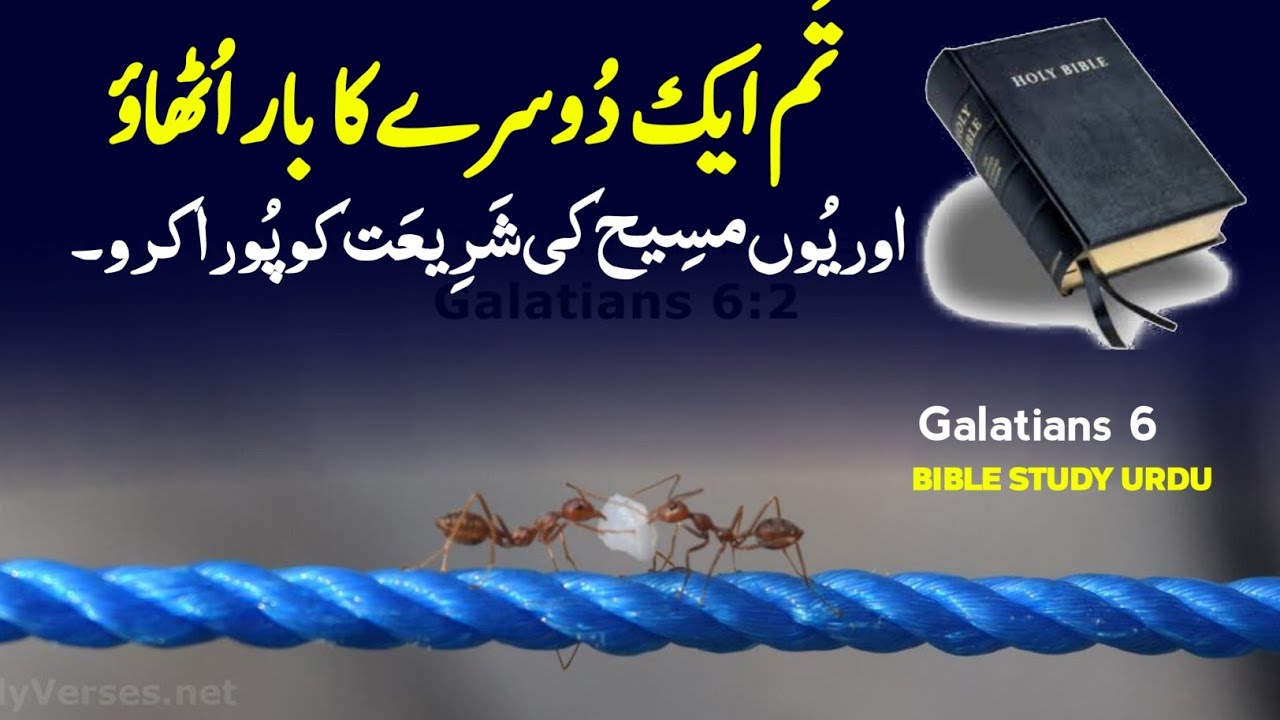 Galatians 6 | Bible study urdu | Bible reading online | گلتیوں | Latest ...