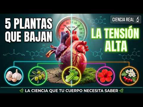 Presión Alta? Descubre 5 Plantas que los Médicos Recomiendan en Privado