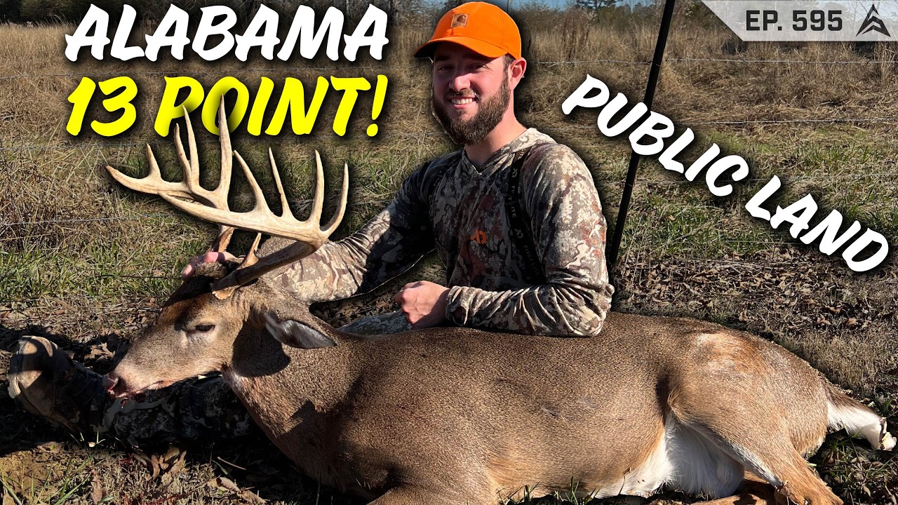 BIG BUCK in an ACTIVE LOGGING CUT! Forester Explains Hunting Near ...
