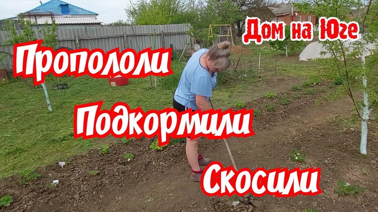 Дом на Юге Дела садовые Youtube