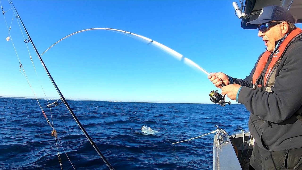 Fish Tucker Man Fishing for Whiting I didn't Expect This! Catch and ...