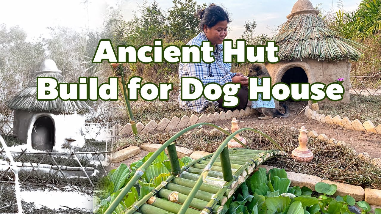 build sample ancient hut and use it for dog house, Woman Can Do - YouTube