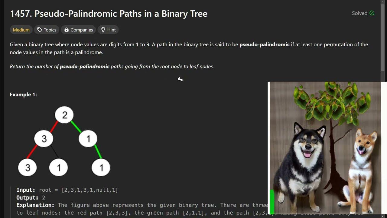C Python使用dfs與奇偶測試解leetcode1457 Pseudo Palindromic Paths In A Binary Tree Youtube
