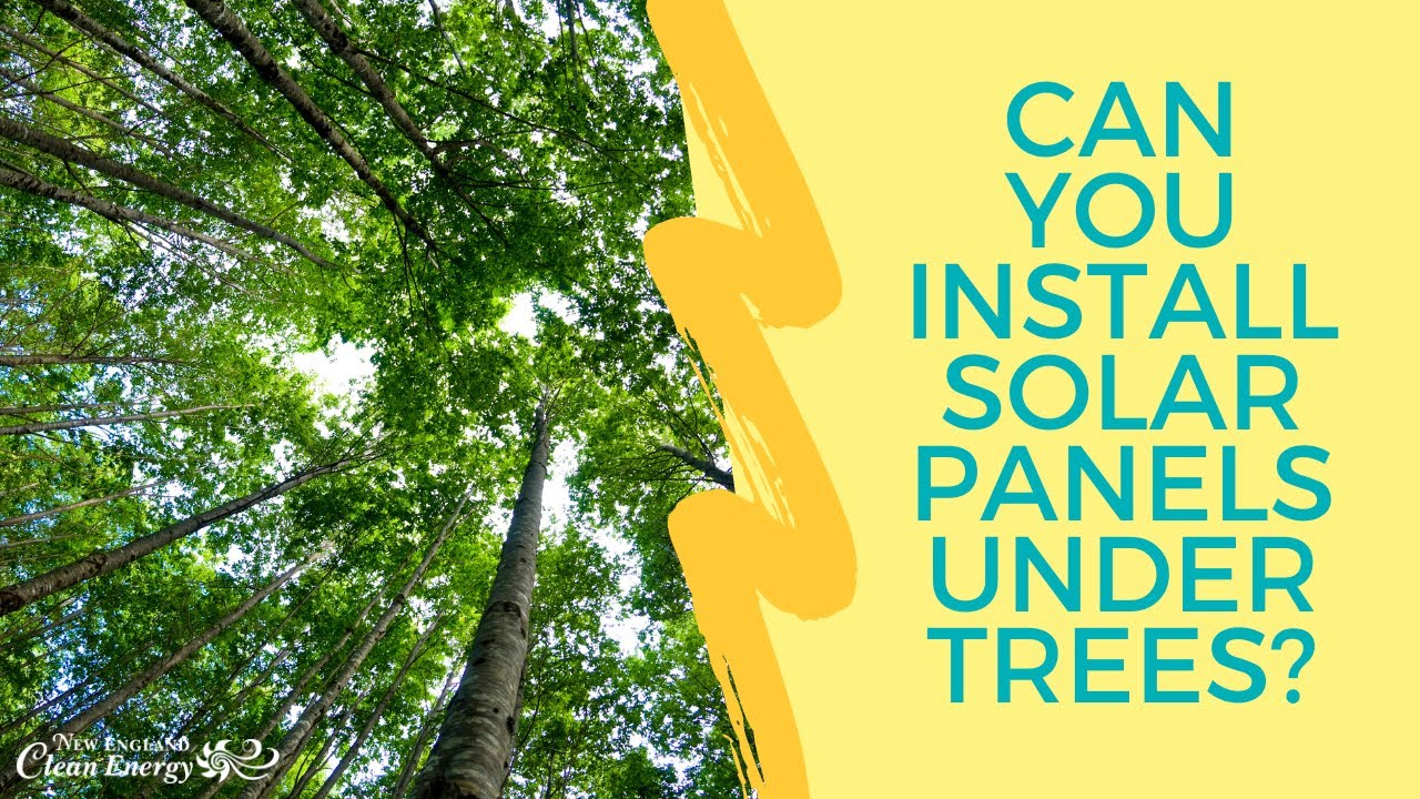 Can You Install Solar Panels Under Trees? - YouTube