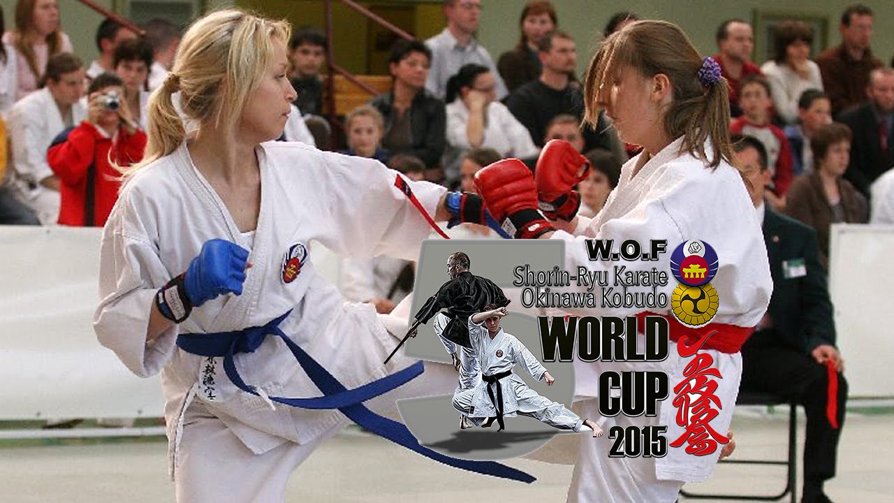 V Puchar Świata W.O.F. Shorin-Ryu Karate & Kobudo - YouTube