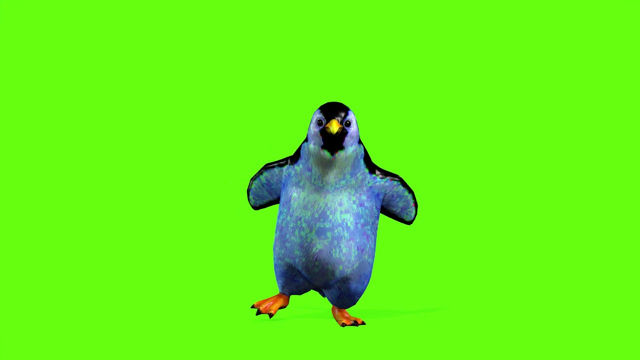 Green Screen Penguin 2 Animation Penguin Green Screen Video - YouTube