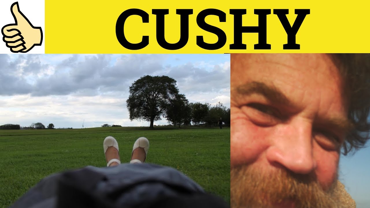 🔵 Cushy Meaning - Cushy Examples - Cushy Defined - Cushy Definition ...