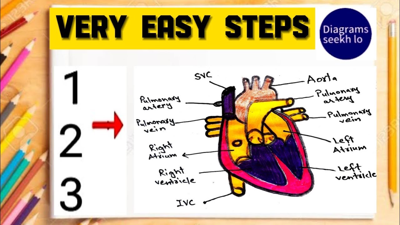 Numbers turn into Heart diagram drawing easy steps | How to draw ...