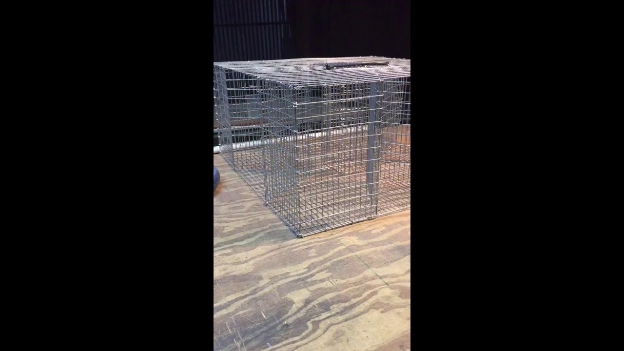 HEAVY DUTY Baitfish Trap - Cloverleaf - YouTube