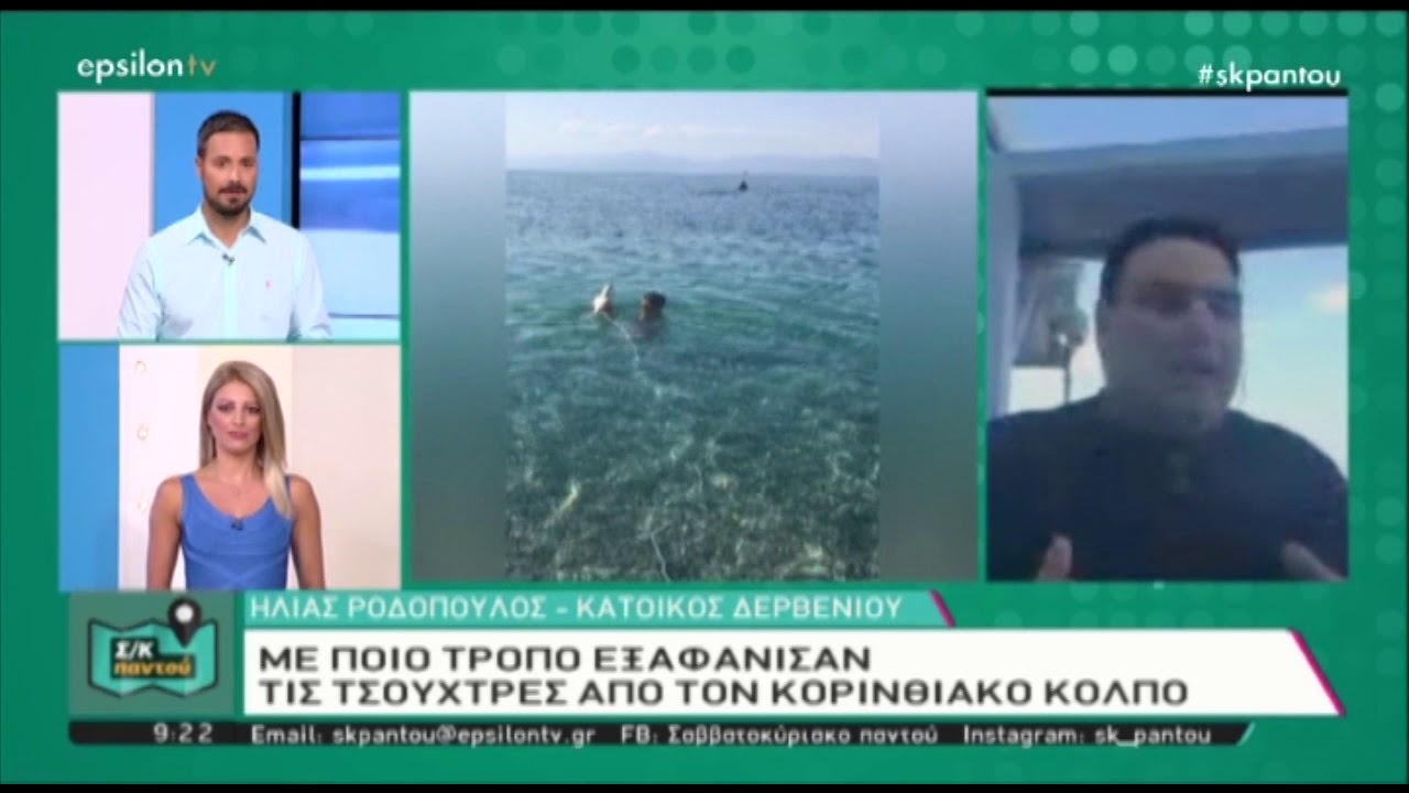 Κορινθιακός: Ευλόγησαν τα νερά κι εξαφανίστηκαν οι τσούχτρες! - YouTube