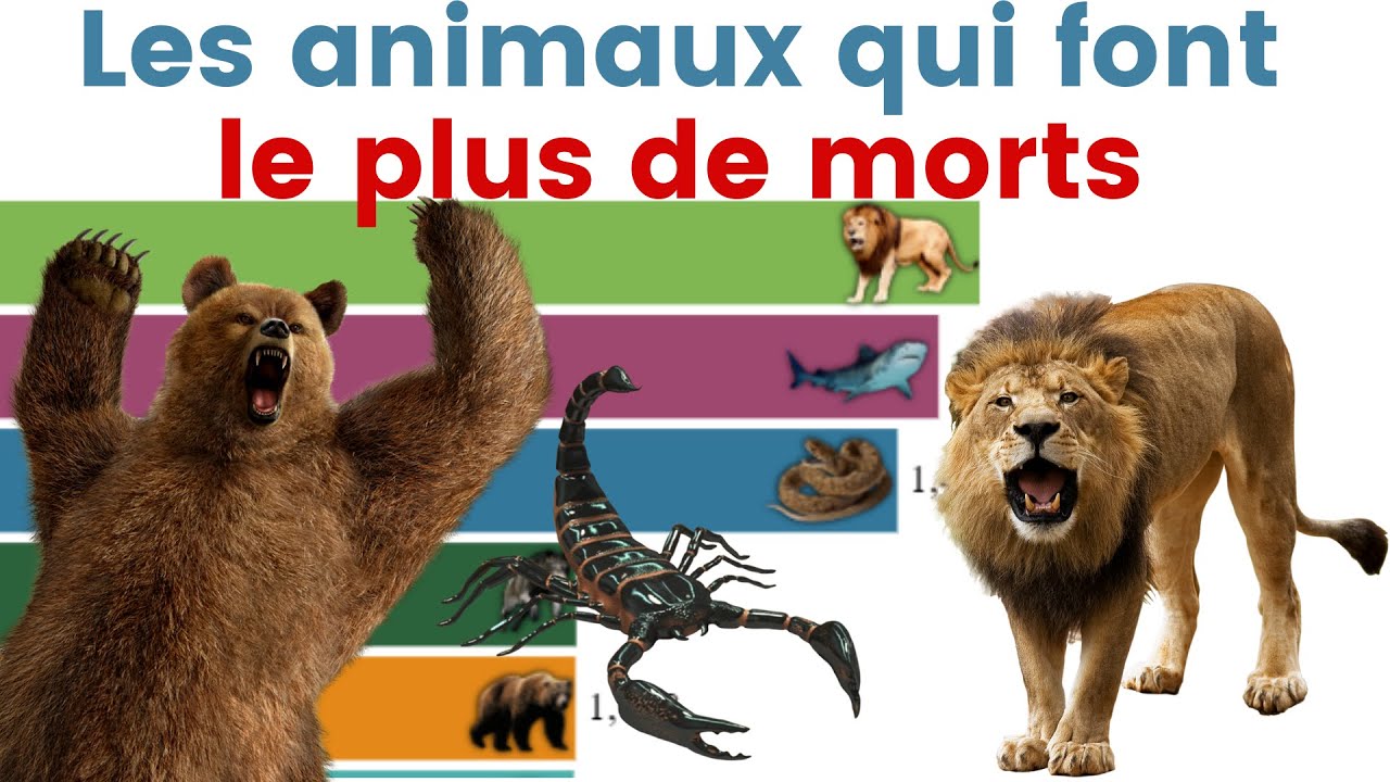 Les Animaux qui font le Plus de Mort chaque année - YouTube