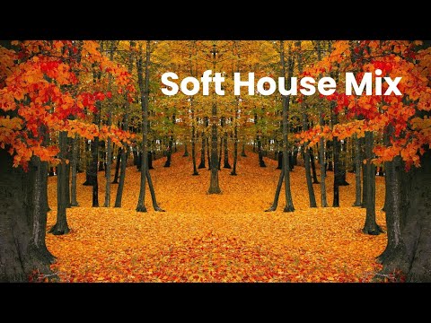 Soft House Music Mix 2024 - Calm Soul - YouTube