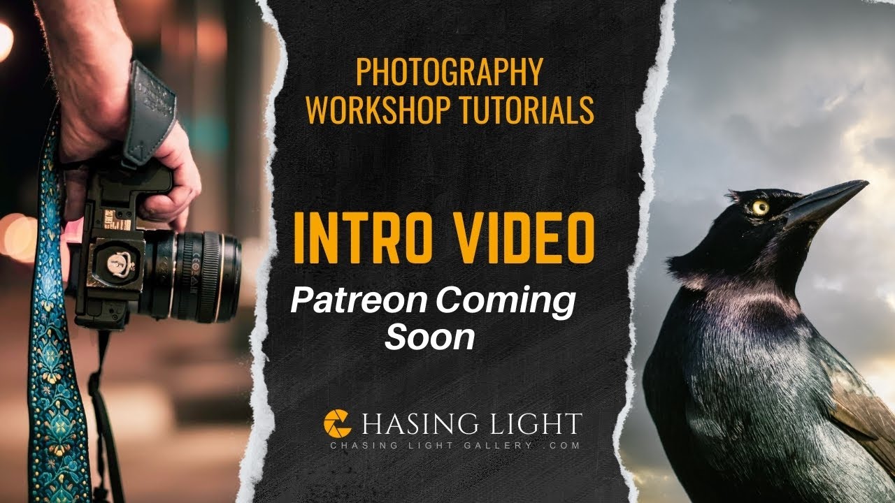 Photography Workshop Tutorials - INTRO VIDEO - Coming Soon | Chasing Light Gallery - YouTube