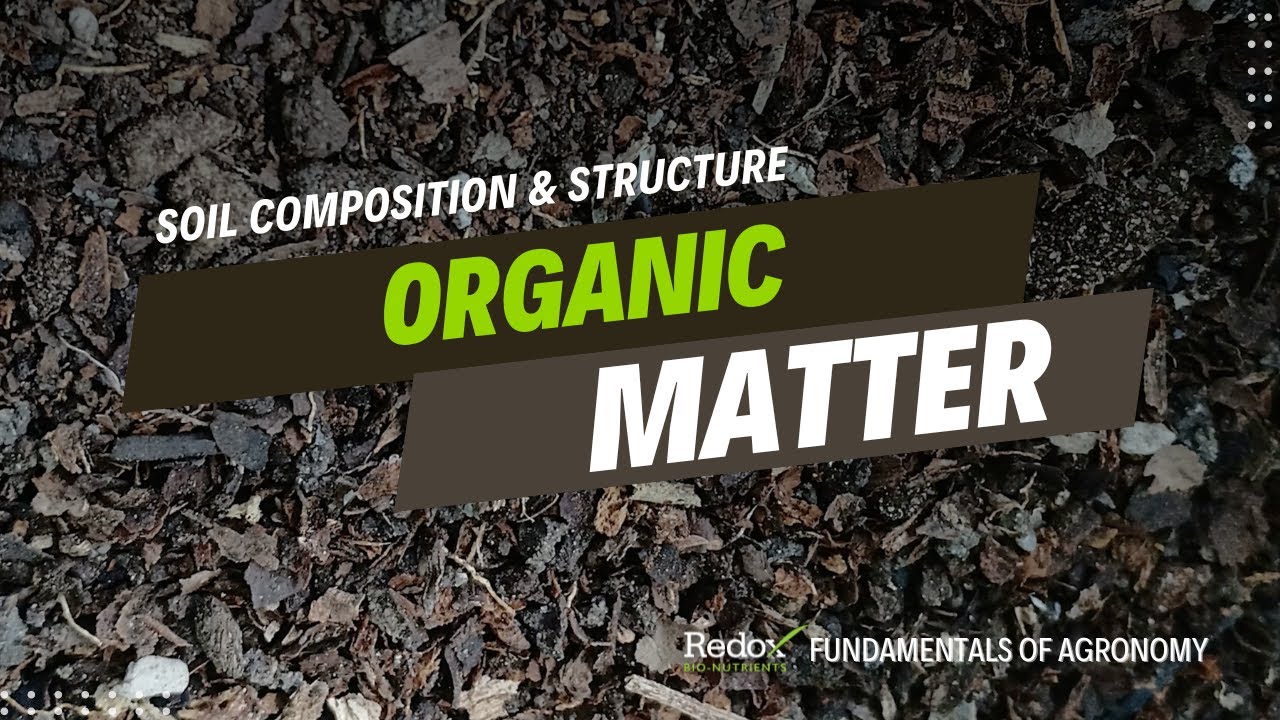 FUNDAMENTALS: Soil Composition & Structure - Organic Matter - YouTube
