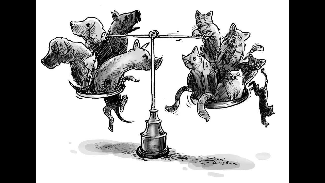 Citizens' Jury on Dog & Cat Management session 2: RSPCA and AWL - YouTube