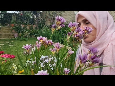 En Son 1001 Fidan' dan Aldığım  Çiçekleri Diktim, Gaziantep'ten Gelen Çiçek Kargosu