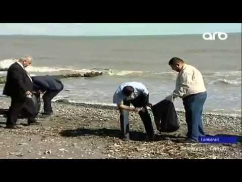 Lənkəranda ekoloqlar Xəzər dənizi sahilində iməclik keçirdilər