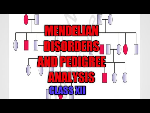 Mendelian Disorders and Pedigree Analysis ( Class XII) - YouTube