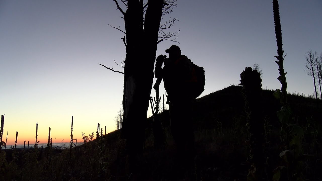 19 Custer State Park Elk Hunt Part 2 - YouTube