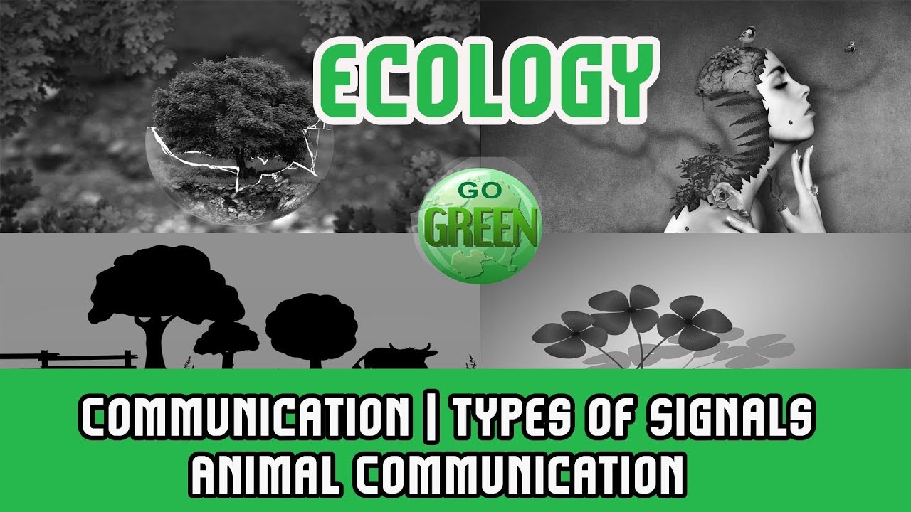 27. Behavioural Ecology | Communication | Types of Signals | Animal ...
