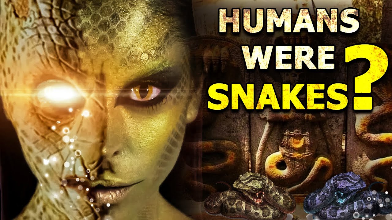 Hinduism Explains That Humans Evolved from Snakes - Mystery of Nagas 🤔 ...
