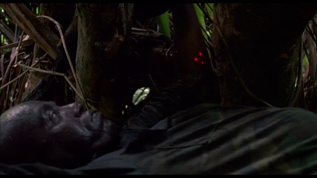 Macs Death Predator - YouTube