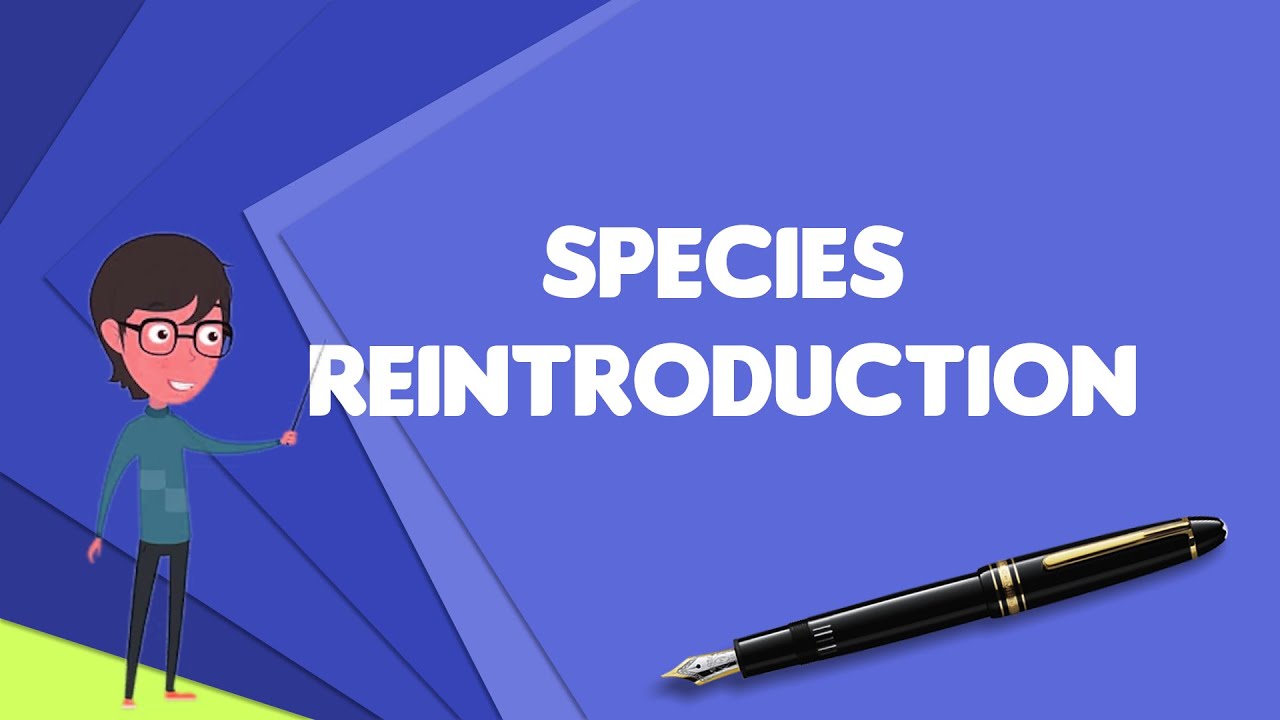 What is Species reintroduction?, Explain Species reintroduction, Define ...