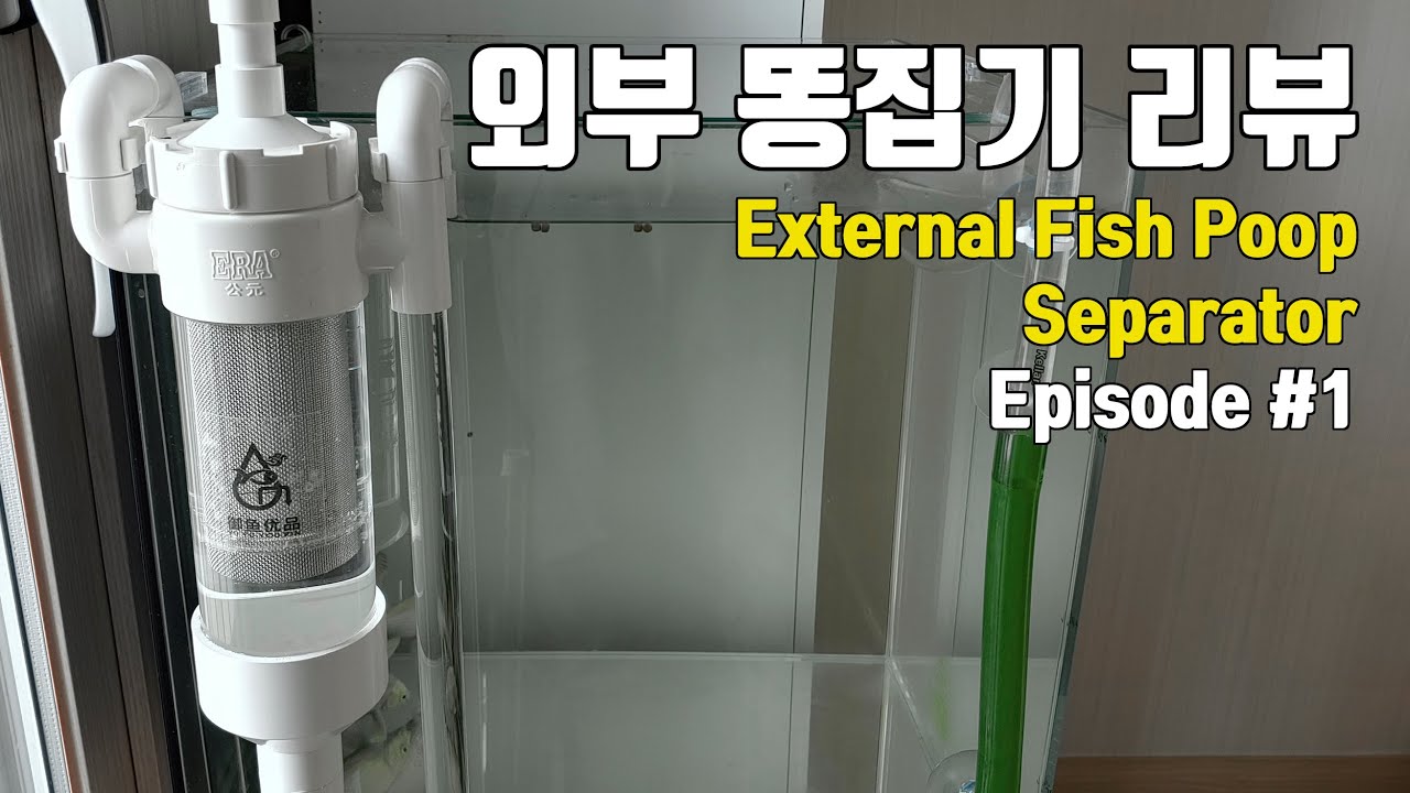 중국산 외부 똥집기 리뷰-External Fish Poop Separator Review #1 - YouTube
